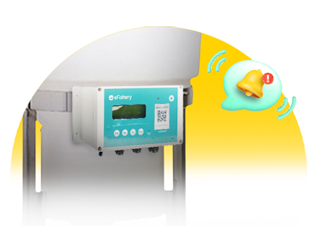 eFeeder - Automatic Feeding Service