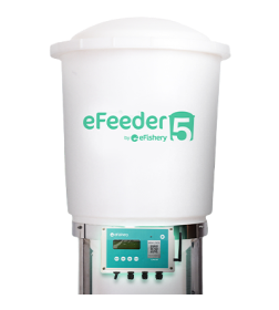 eFishery - Solusi Budidaya Ikan dan Udang